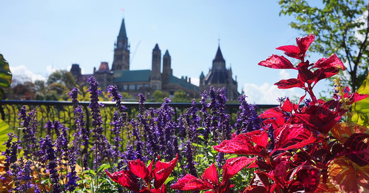 Ottawa cultural itinerary ideas for packaged travel | Ottawa Tourism