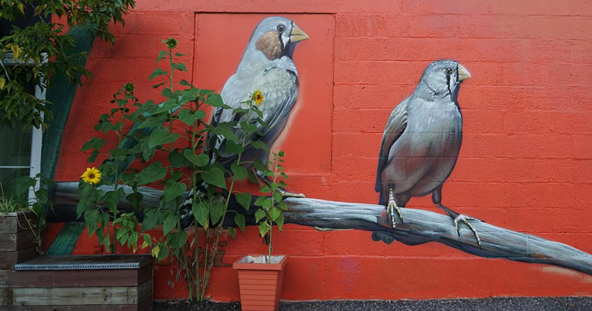 Wellington West | Ottawa Tourism