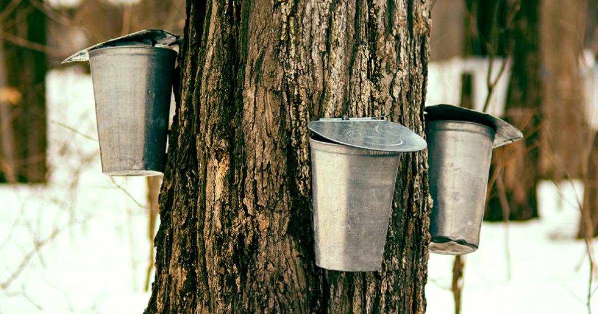 The Log Farm | Ottawa Tourism