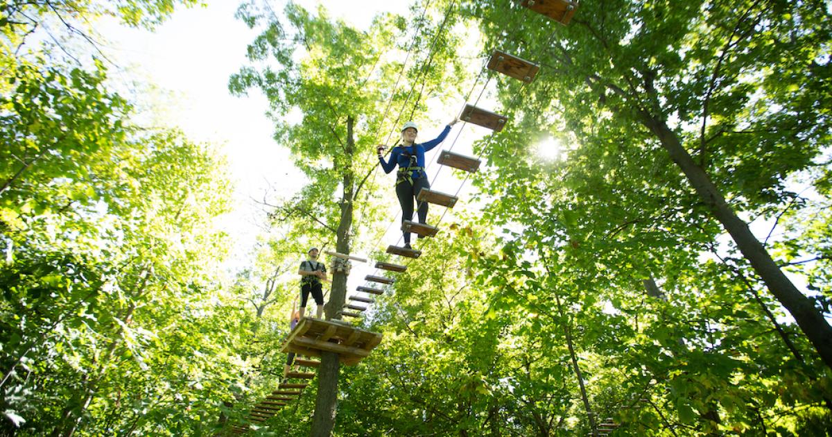 Treetop Trekking 1000 Islands Inc. | Ottawa Tourism
