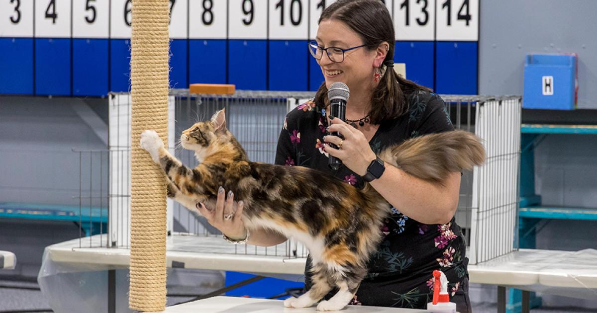 Ottawa Cat Show | Ottawa Tourism